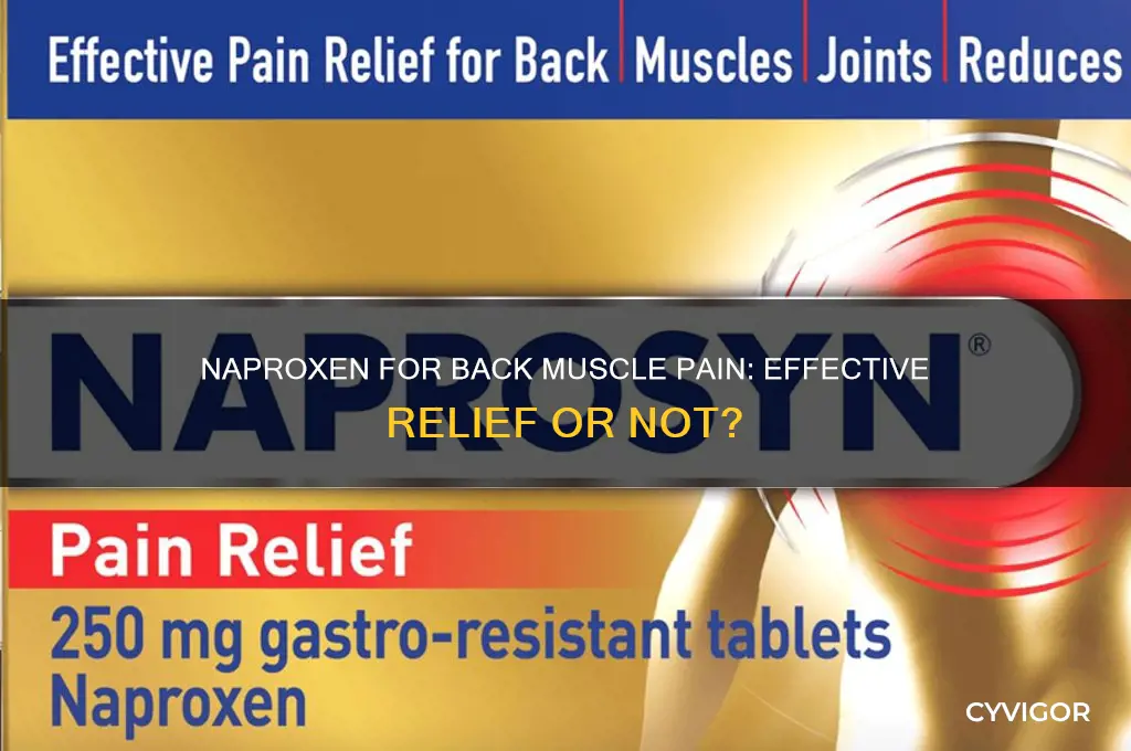 Naproxen For Back Muscle Pain: Effective Relief Or Not? | CyVigor