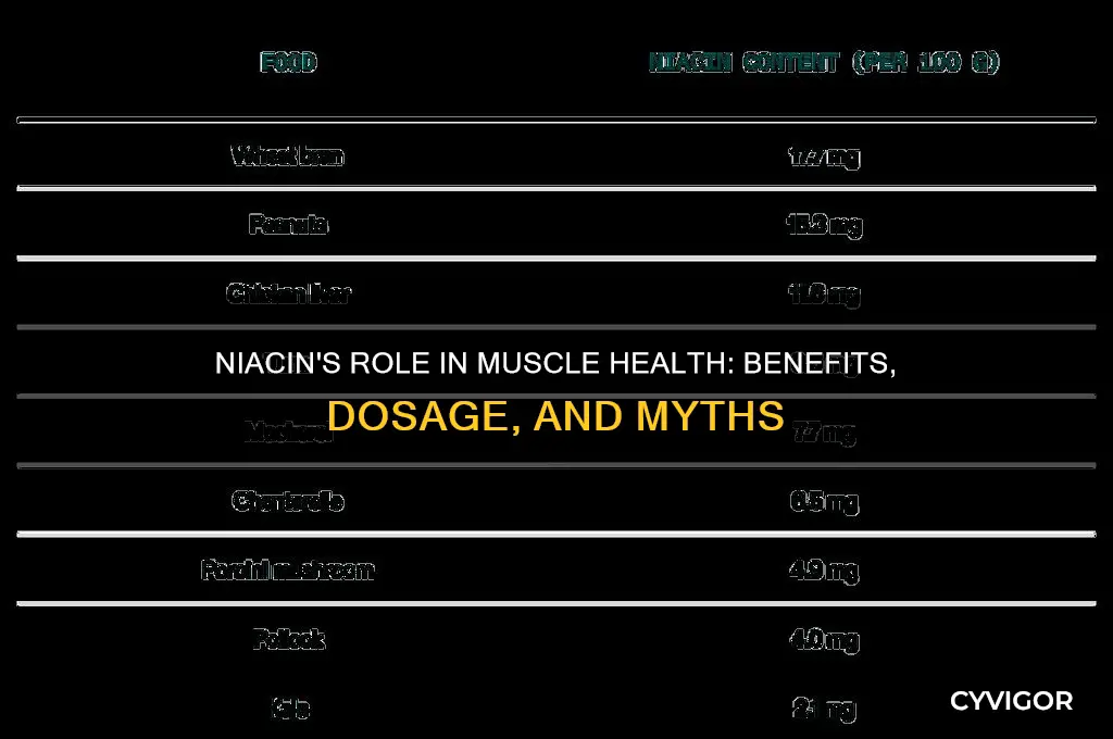 Niacin's Role In Muscle Health: Benefits, Dosage, And Myths | CyVigor
