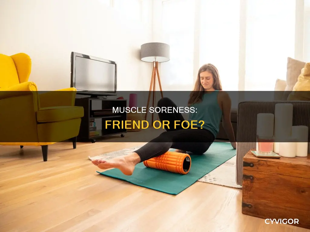 Muscle Soreness: Friend Or Foe? | CyVigor