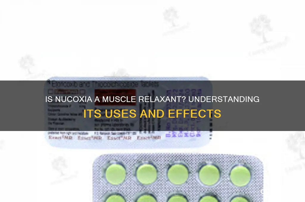 Is Nucoxia A Muscle Relaxant? Understanding Its Uses And Effects | CyVigor