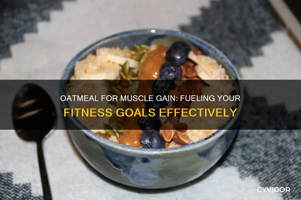 Oatmeal For Muscle Gain: Fueling Your Fitness Goals Effectively | CyVigor