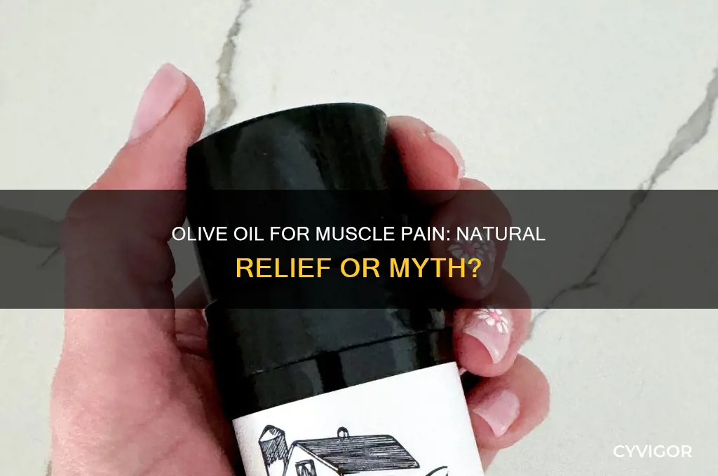 Olive Oil For Muscle Pain: Natural Relief Or Myth? | CyVigor