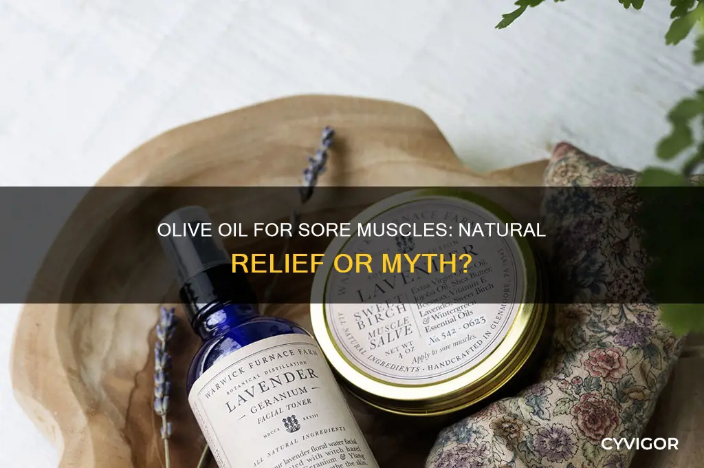 Olive Oil For Sore Muscles: Natural Relief Or Myth? | CyVigor