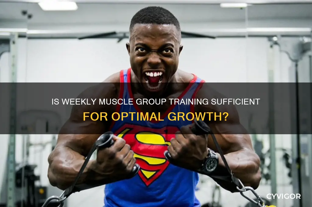 Is Weekly Muscle Group Training Sufficient For Optimal Growth? | CyVigor