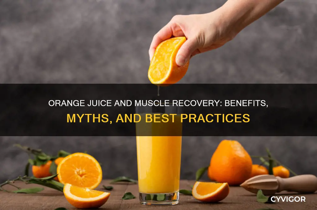 Orange Juice And Muscle Recovery: Benefits, Myths, And Best Practices ...