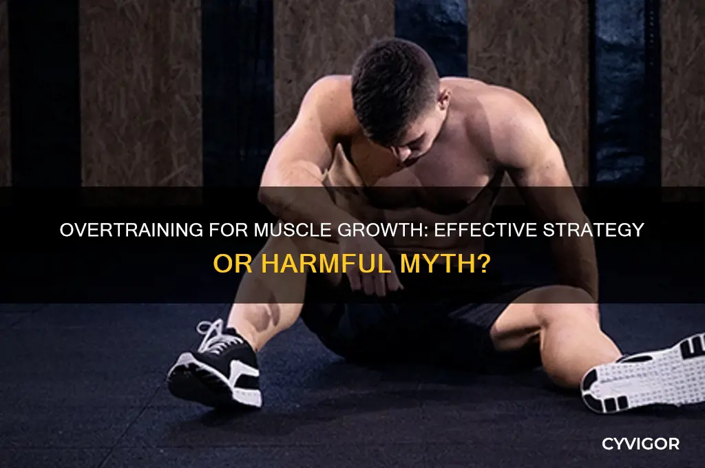 Overtraining For Muscle Growth: Effective Strategy Or Harmful Myth ...