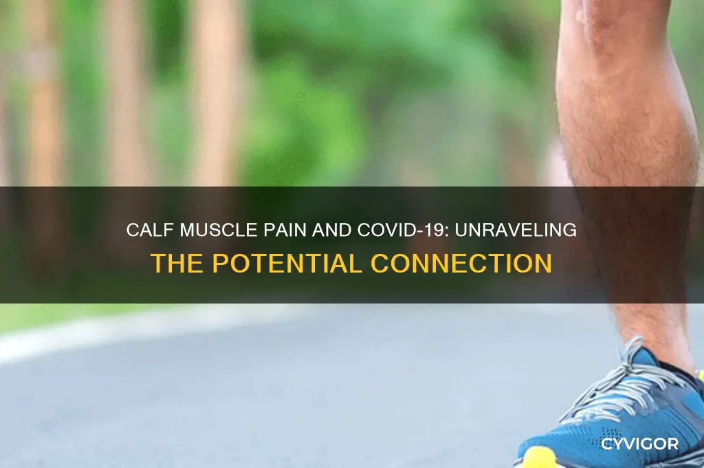 Calf Muscle Pain And Covid-19: Unraveling The Potential Connection ...