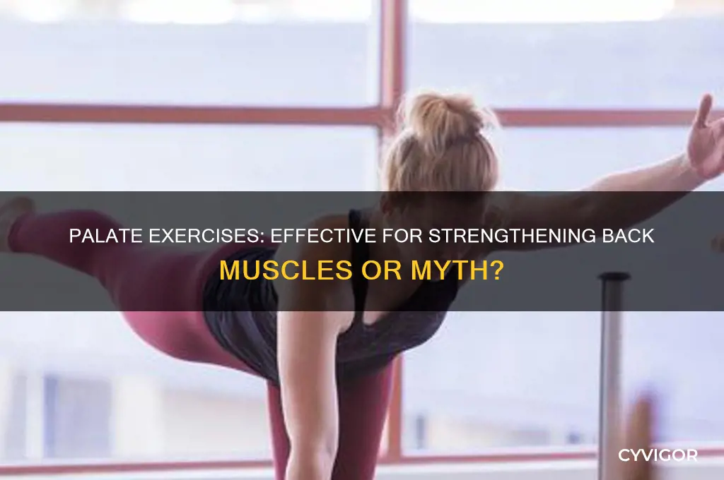 Palate Exercises: Effective For Strengthening Back Muscles Or Myth ...