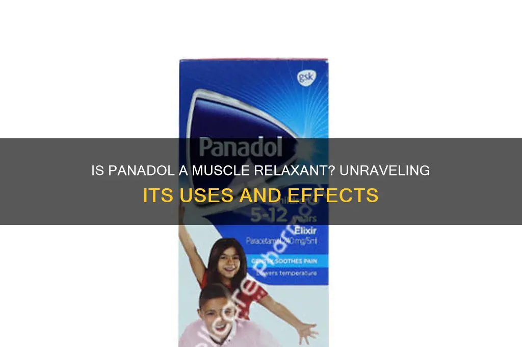 Is Panadol A Muscle Relaxant? Unraveling Its Uses And Effects | CyVigor