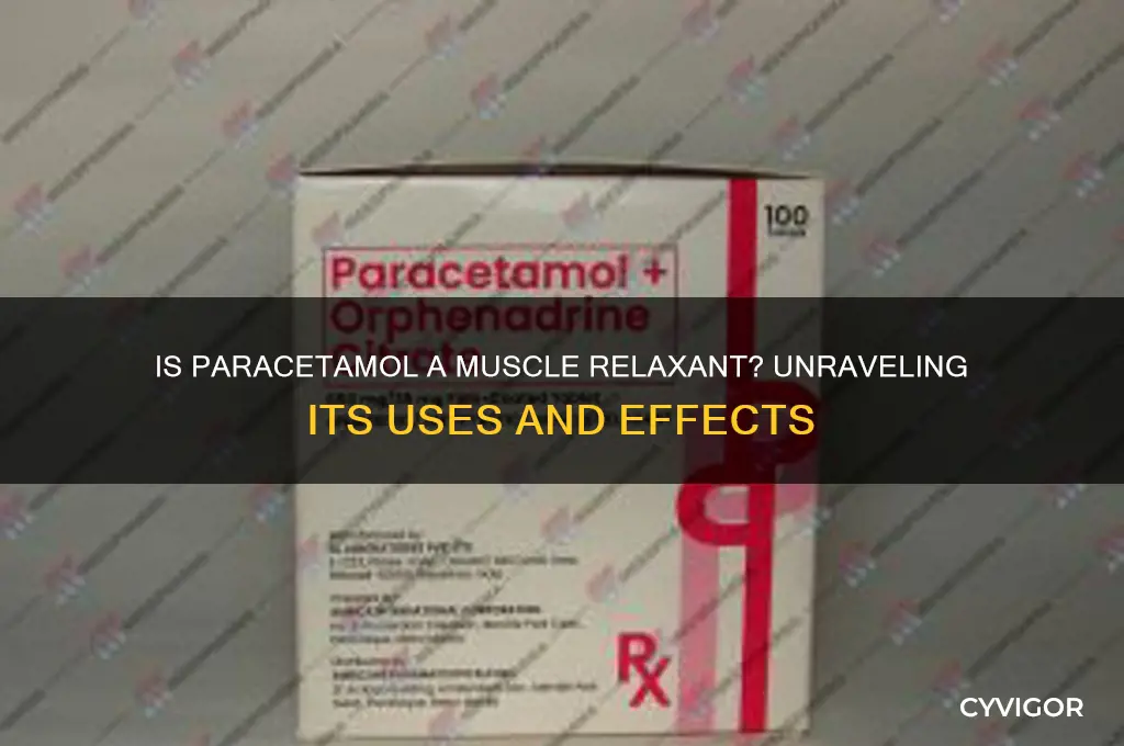 Is Paracetamol A Muscle Relaxant? Unraveling Its Uses And Effects | CyVigor