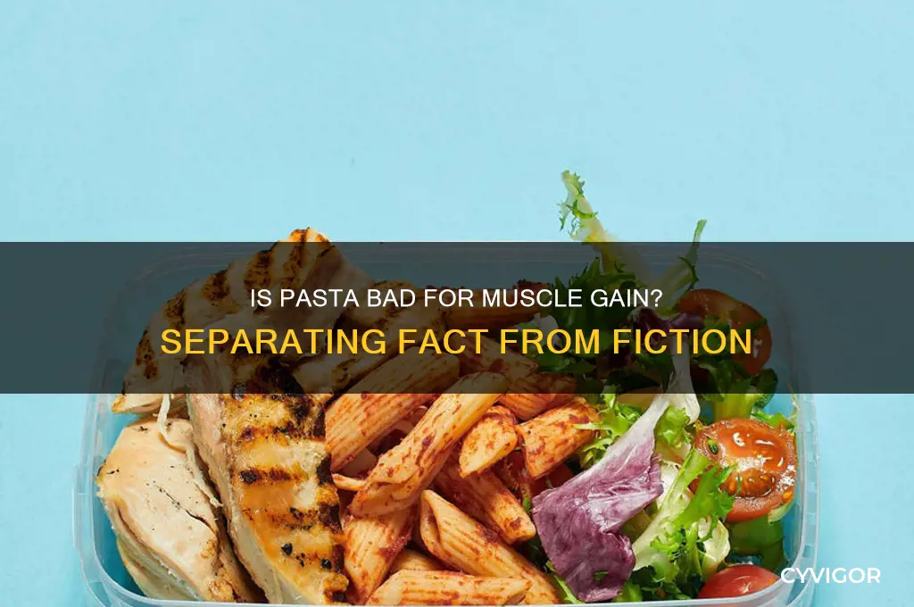 Is Pasta Bad For Muscle Gain? Separating Fact From Fiction | CyVigor