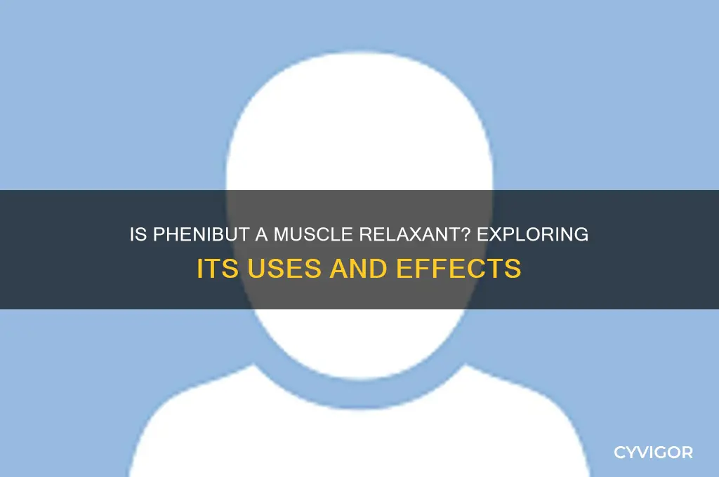 Is Phenibut A Muscle Relaxant? Exploring Its Uses And Effects | CyVigor