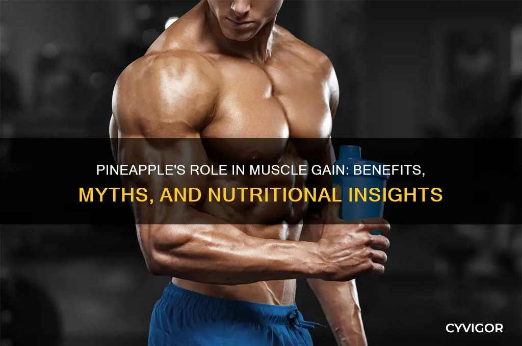 Pineapple's Role In Muscle Gain: Benefits, Myths, And Nutritional ...