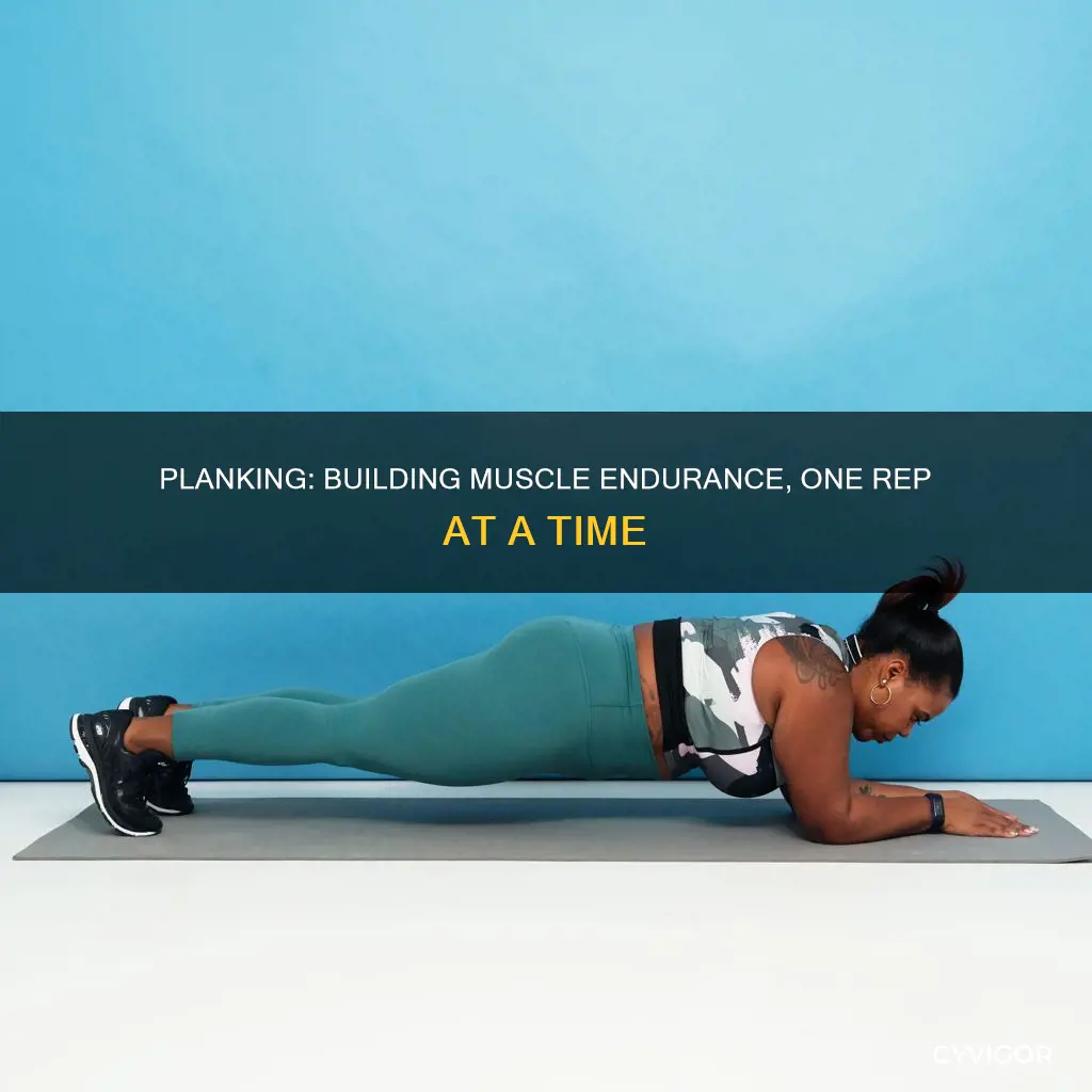 Planking: Building Muscle Endurance, One Rep At A Time | CyVigor
