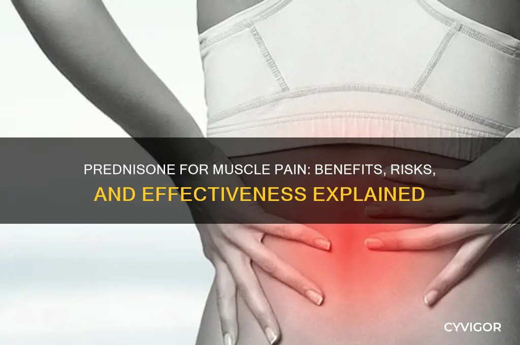 Prednisone For Muscle Pain: Benefits, Risks, And Effectiveness ...