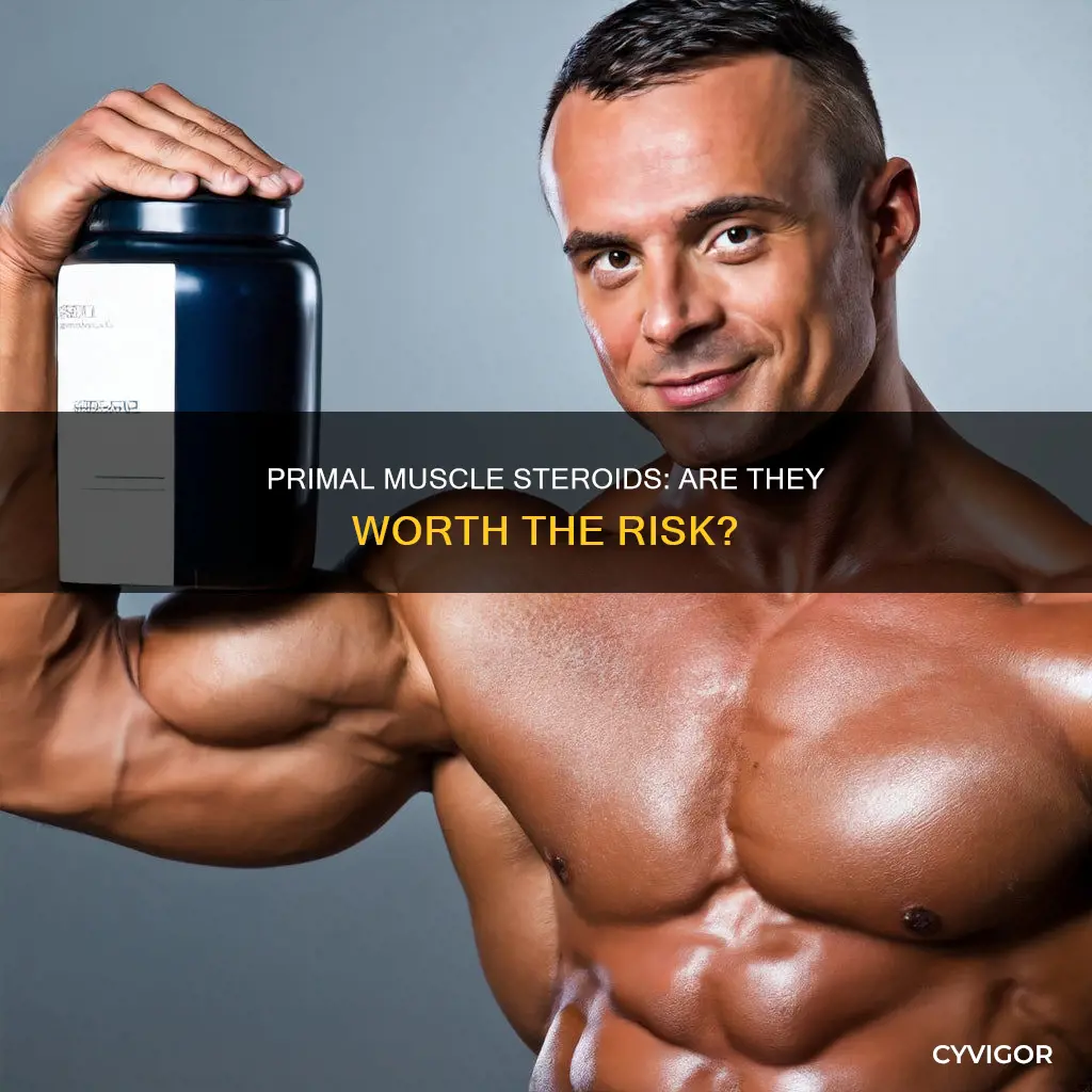 Primal Muscle Steroids: Are They Worth The Risk? | CyVigor
