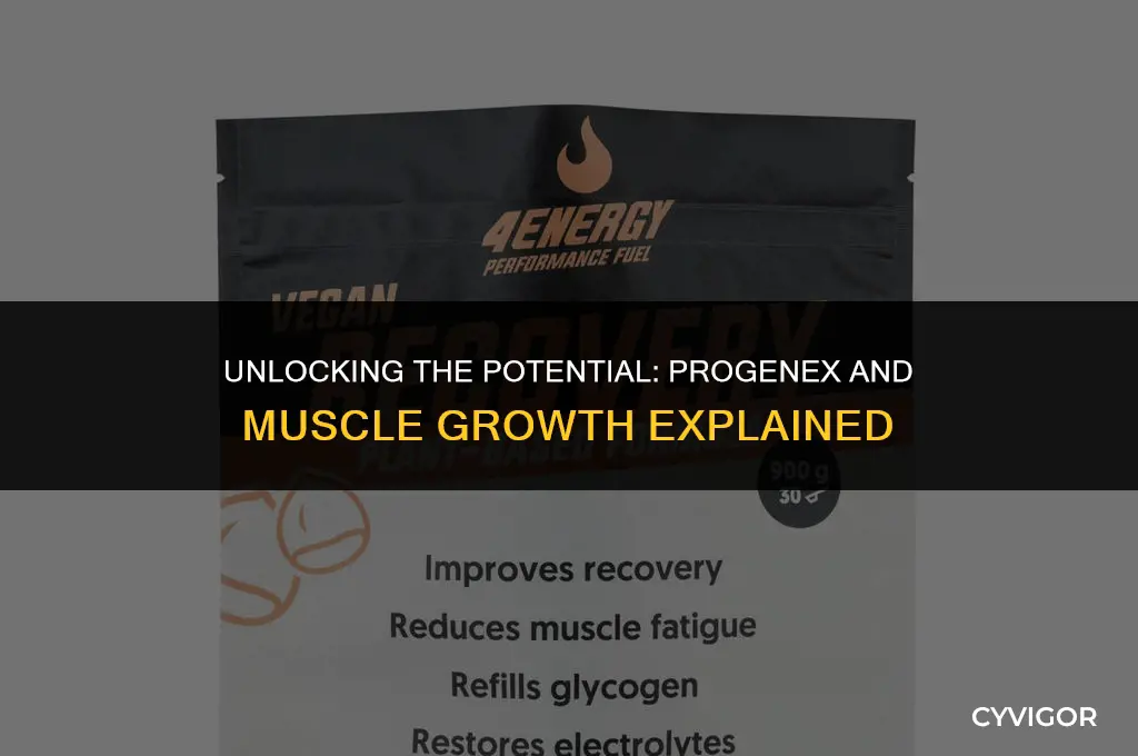 Unlocking The Potential: Progenex And Muscle Growth Explained | CyVigor