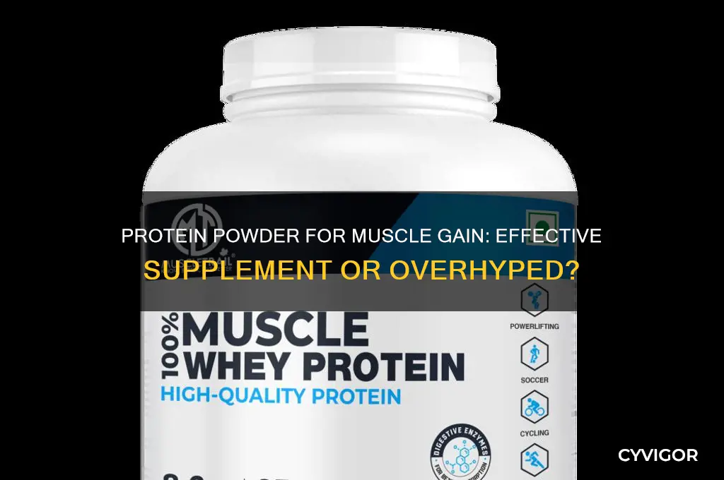 Protein Powder For Muscle Gain: Effective Supplement Or Overhyped ...