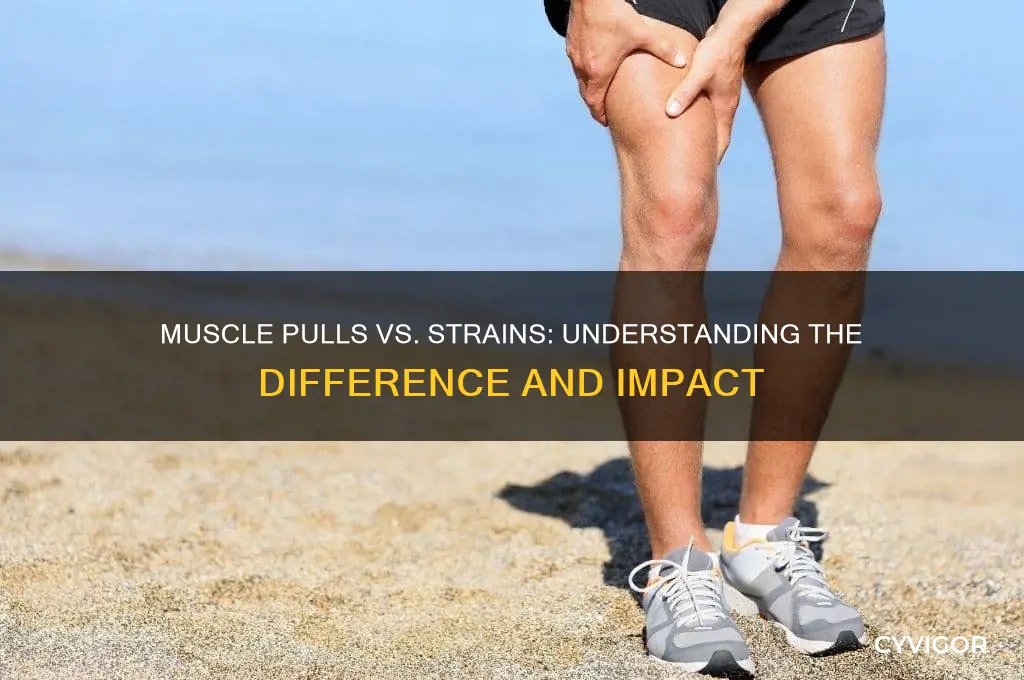 Muscle Pulls Vs. Strains: Understanding The Difference And Impact | CyVigor