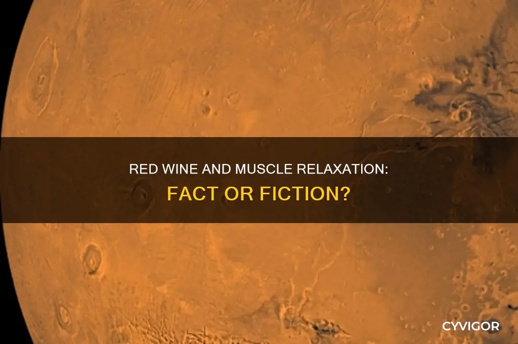 Red Wine And Muscle Relaxation: Fact Or Fiction? | CyVigor