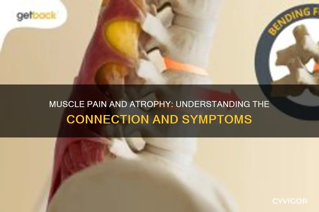 Muscle Pain And Atrophy: Understanding The Connection And Symptoms ...