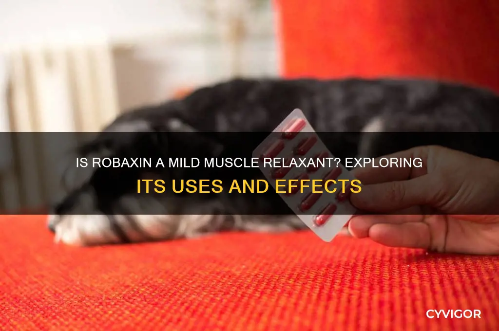 Is Robaxin A Mild Muscle Relaxant? Exploring Its Uses And Effects | CyVigor