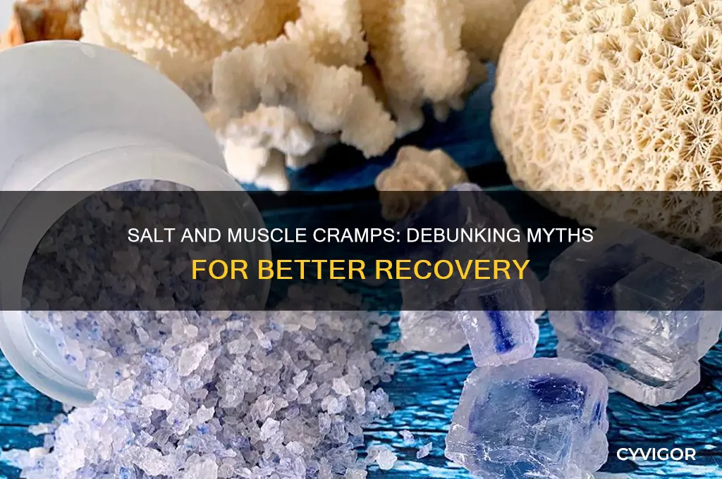 Salt And Muscle Cramps: Debunking Myths For Better Recovery | CyVigor