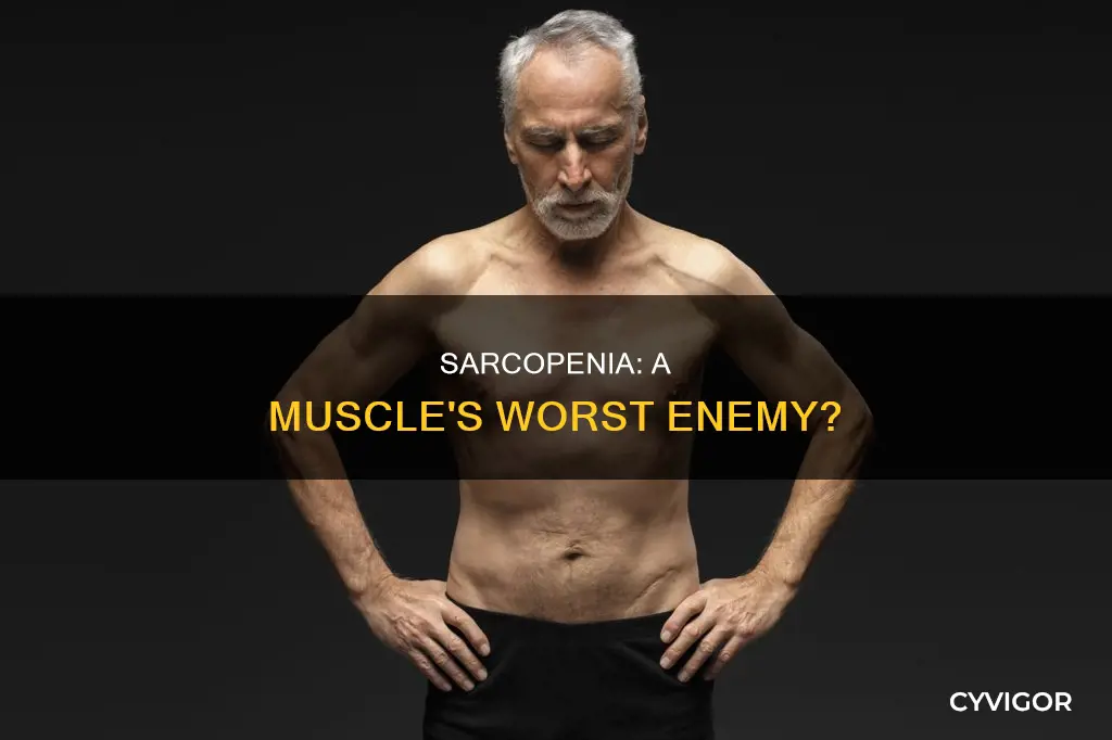 Sarcopenia: A Muscle's Worst Enemy? | CyVigor