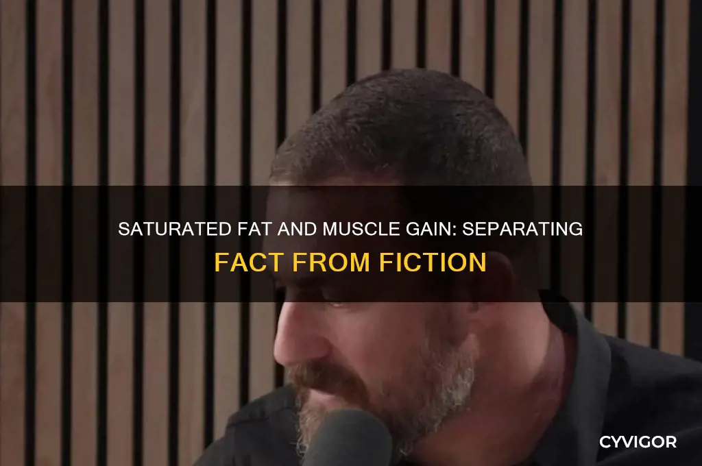 Saturated Fat And Muscle Gain: Separating Fact From Fiction | CyVigor