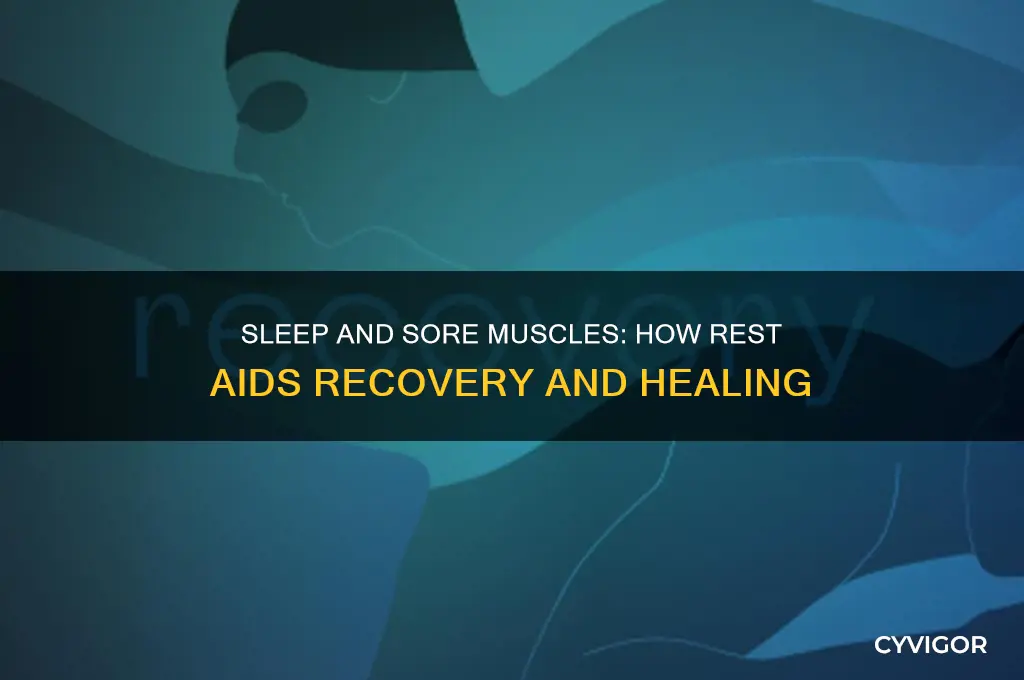 Sleep And Sore Muscles: How Rest Aids Recovery And Healing | CyVigor