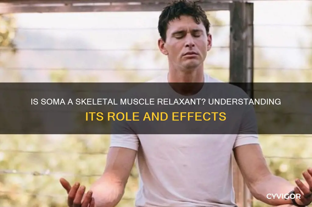 Is Soma A Skeletal Muscle Relaxant? Understanding Its Role And Effects ...