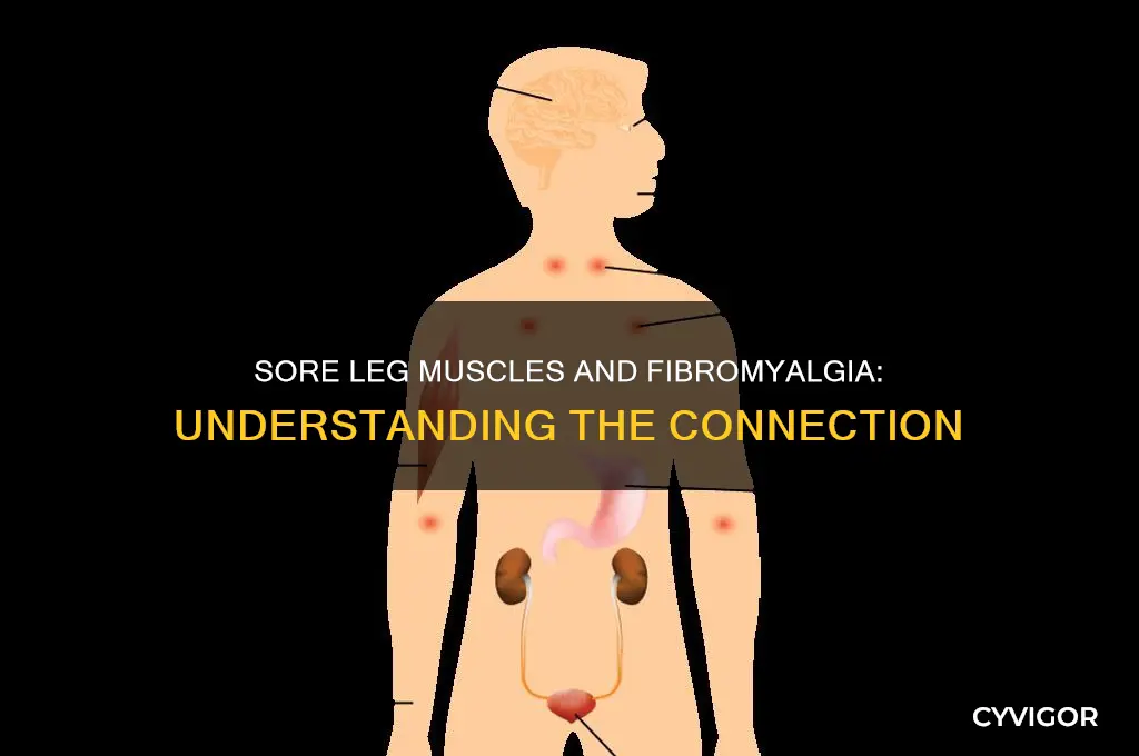 Sore Leg Muscles And Fibromyalgia: Understanding The Connection | CyVigor
