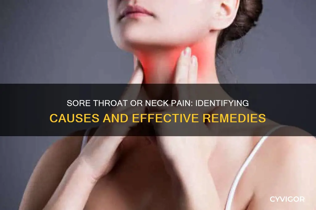 Sore Throat Or Neck Pain: Identifying Causes And Effective Remedies ...