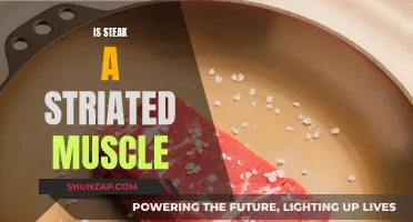 Skin And Muscle: What's The Connection? | CyVigor