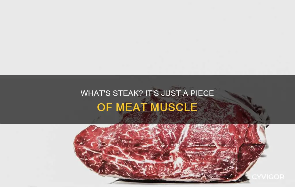 What's Steak? It's Just A Piece Of Meat Muscle | CyVigor