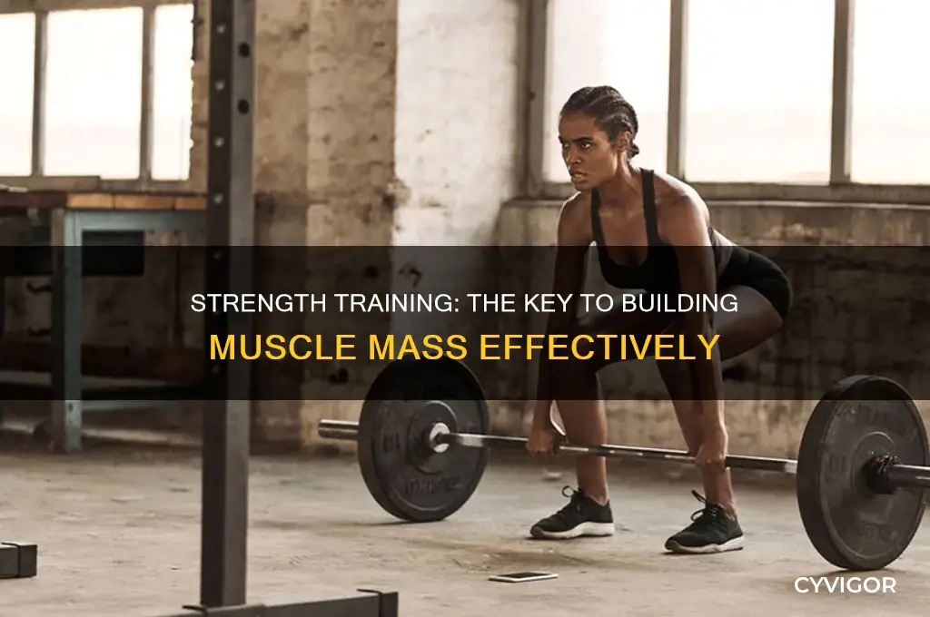 Strength Training: The Key To Building Muscle Mass Effectively | CyVigor