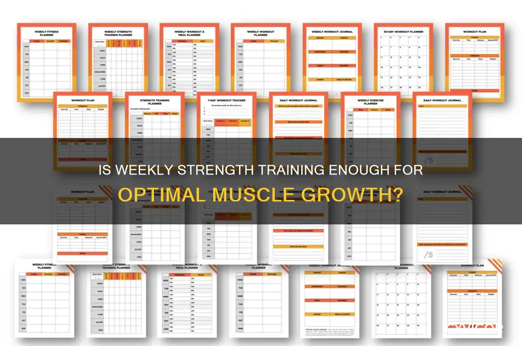 Is Weekly Strength Training Enough For Optimal Muscle Growth? | CyVigor