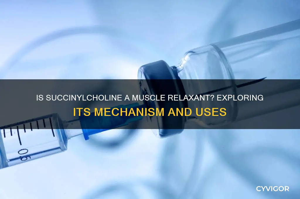 Is Succinylcholine A Muscle Relaxant? Exploring Its Mechanism And Uses ...