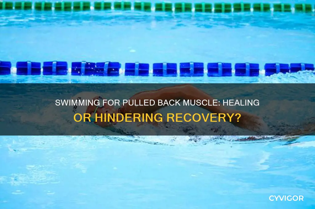 Swimming For Pulled Back Muscle: Healing Or Hindering Recovery? | CyVigor