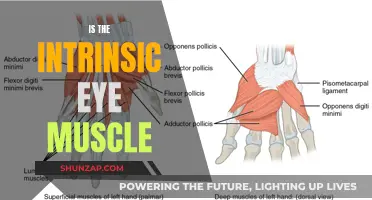The Gooch: Exploring The Truth Behind This Anatomy | CyVigor