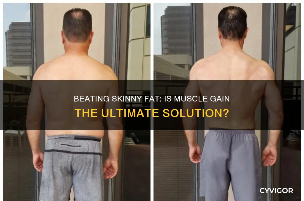Beating Skinny Fat: Is Muscle Gain The Ultimate Solution? | CyVigor