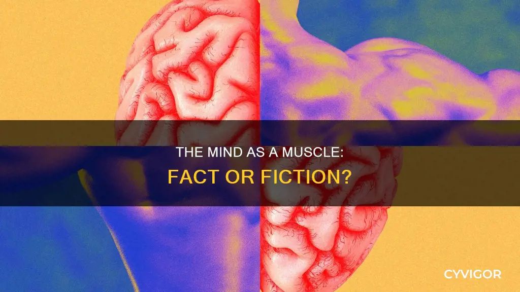 The Mind As A Muscle: Fact Or Fiction? | CyVigor
