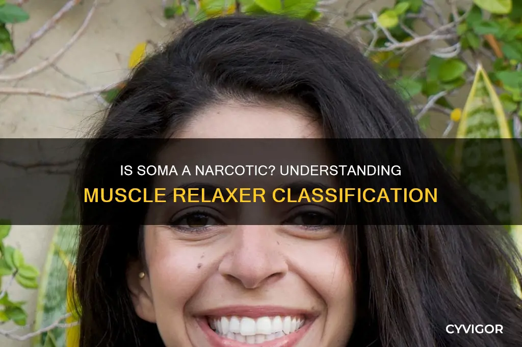 Is Soma A Narcotic? Understanding Muscle Relaxer Classification | CyVigor