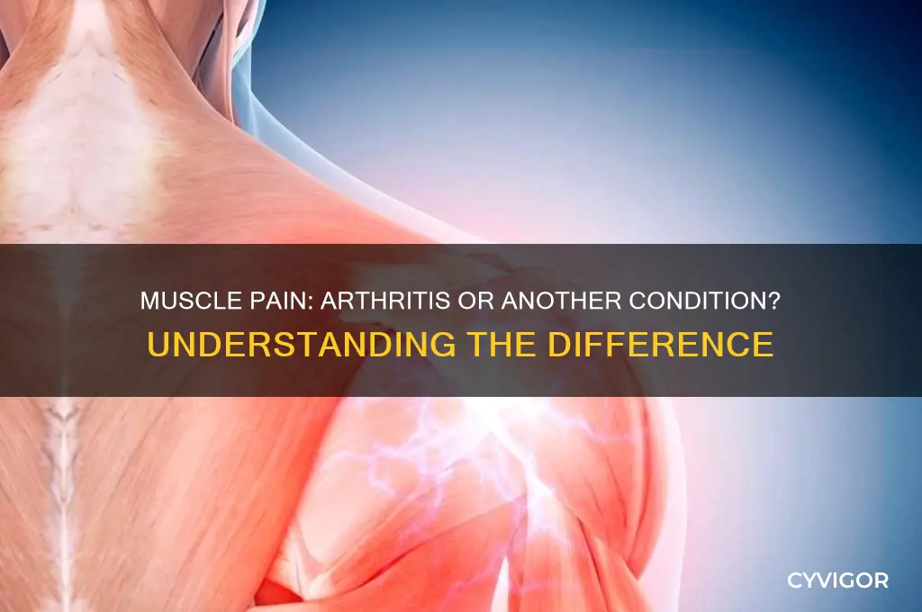 Muscle Pain: Arthritis Or Another Condition? Understanding The ...