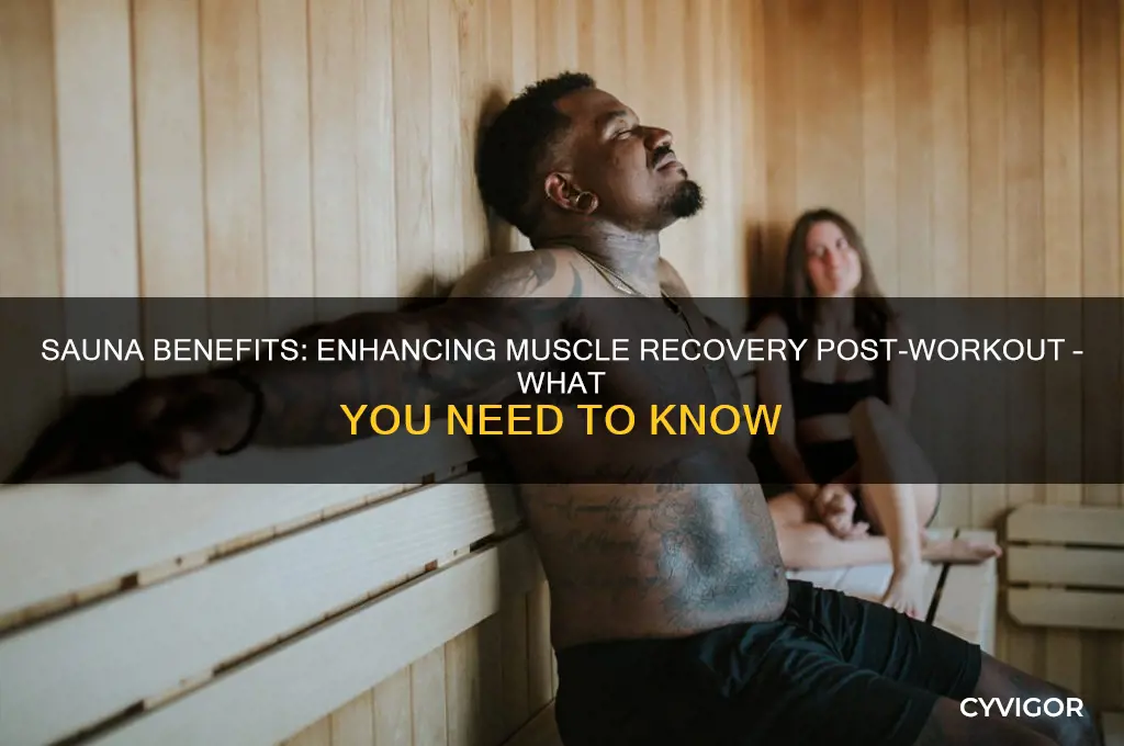Sauna Benefits: Enhancing Muscle Recovery Post-Workout – What You Need ...