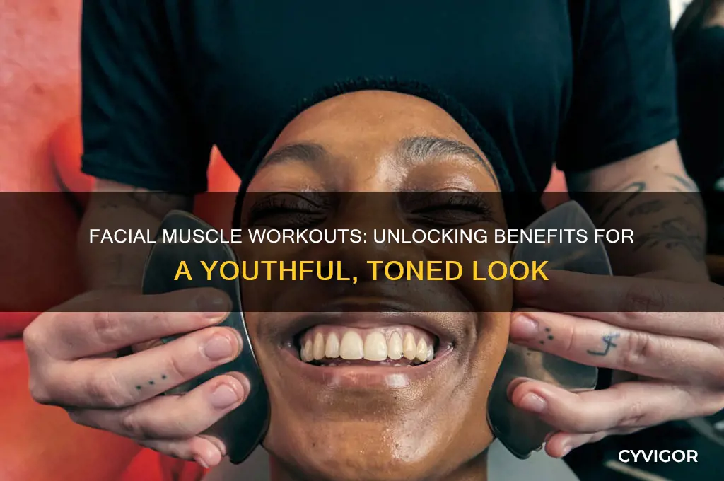 Facial Muscle Workouts: Unlocking Benefits For A Youthful, Toned Look ...