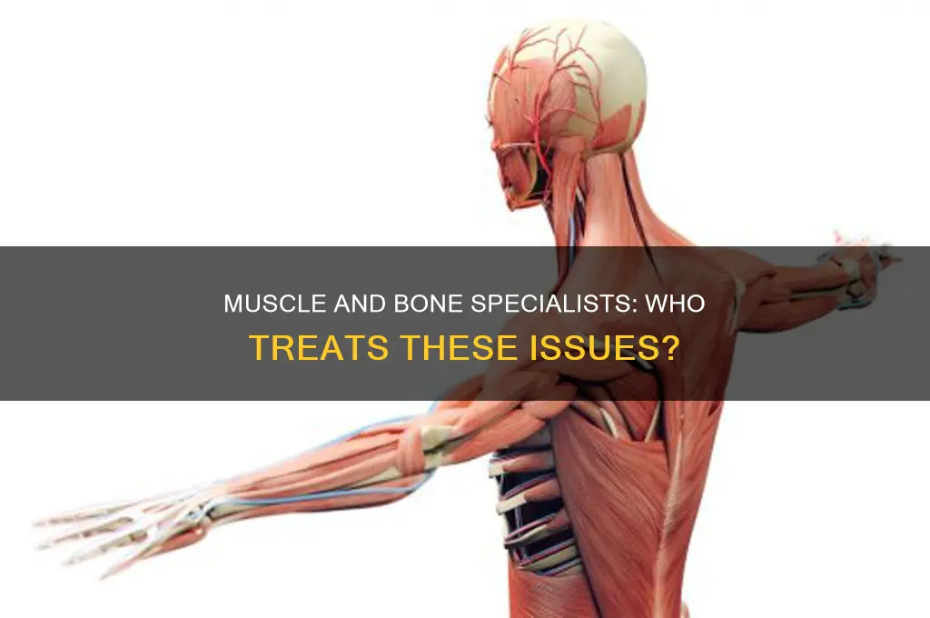 Muscle And Bone Specialists: Who Treats These Issues? | CyVigor