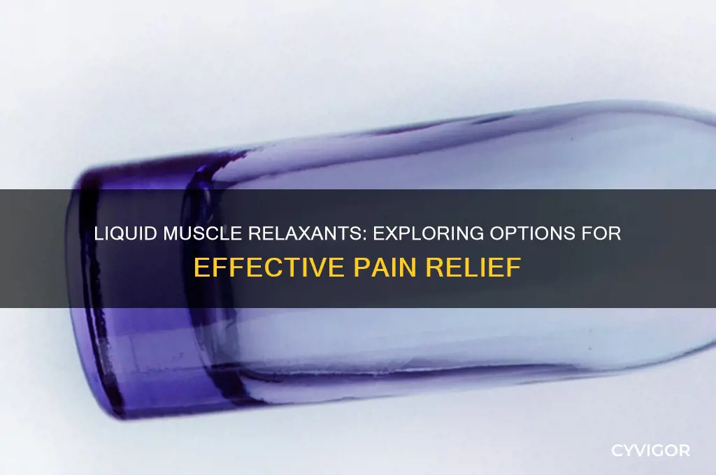 Liquid Muscle Relaxants: Exploring Options For Effective Pain Relief ...