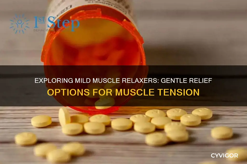 Exploring Mild Muscle Relaxers: Gentle Relief Options For Muscle ...