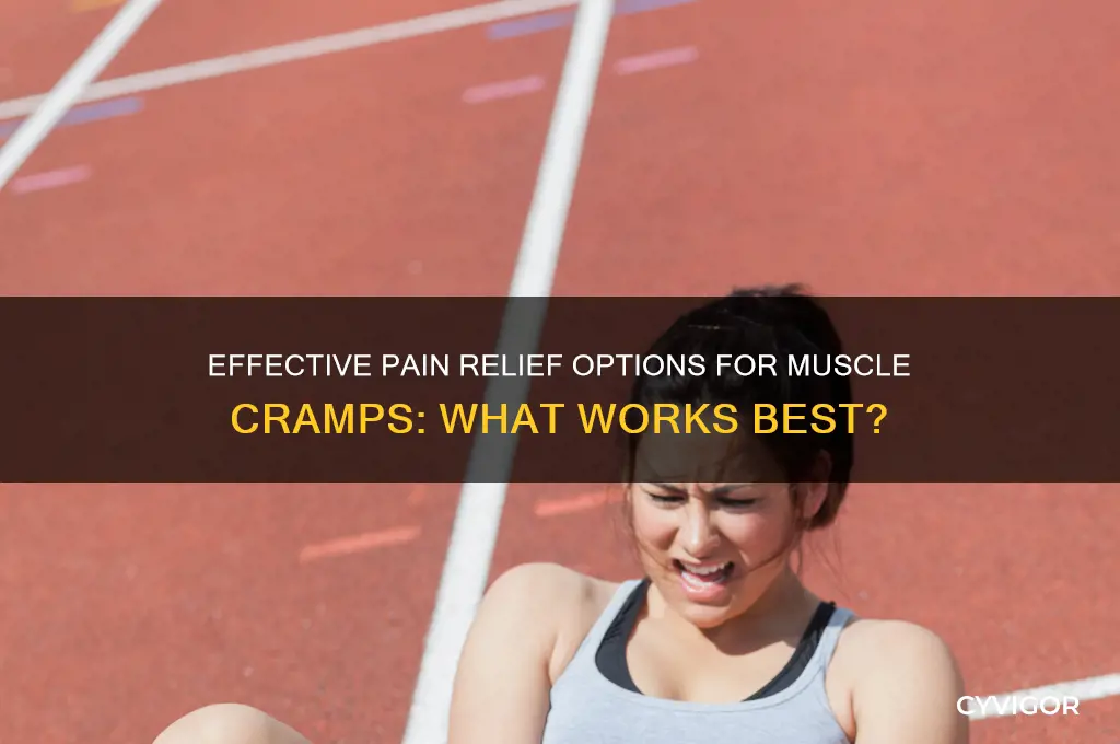 Effective Pain Relief Options For Muscle Cramps: What Works Best? | CyVigor